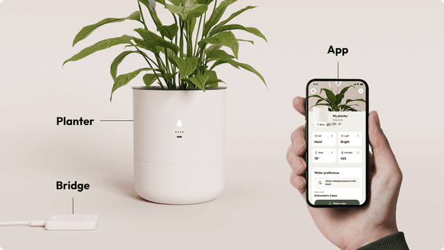 LeafyPod Starter Pack | LeafyPod