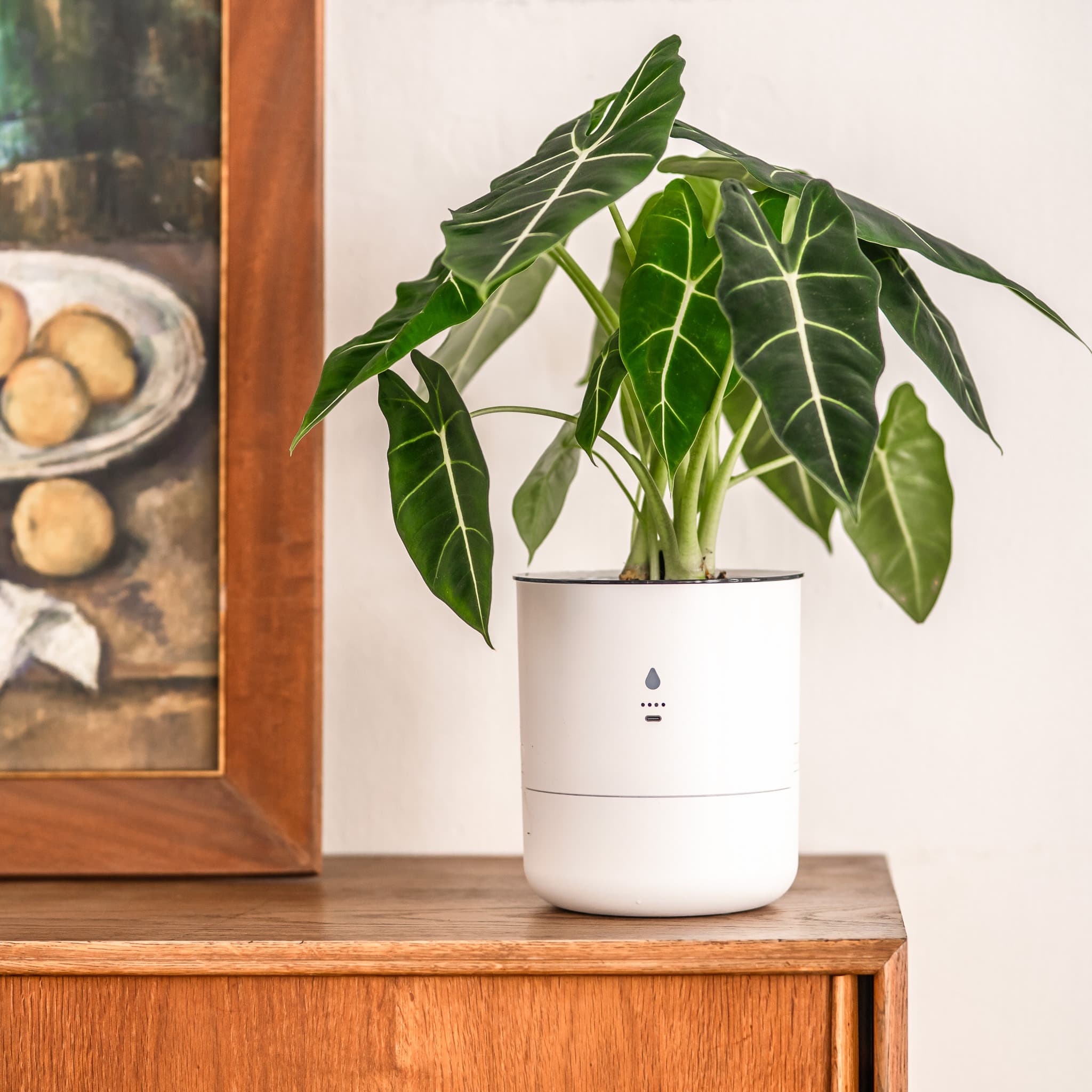 LeafyPod: AI-powered self-watering planter